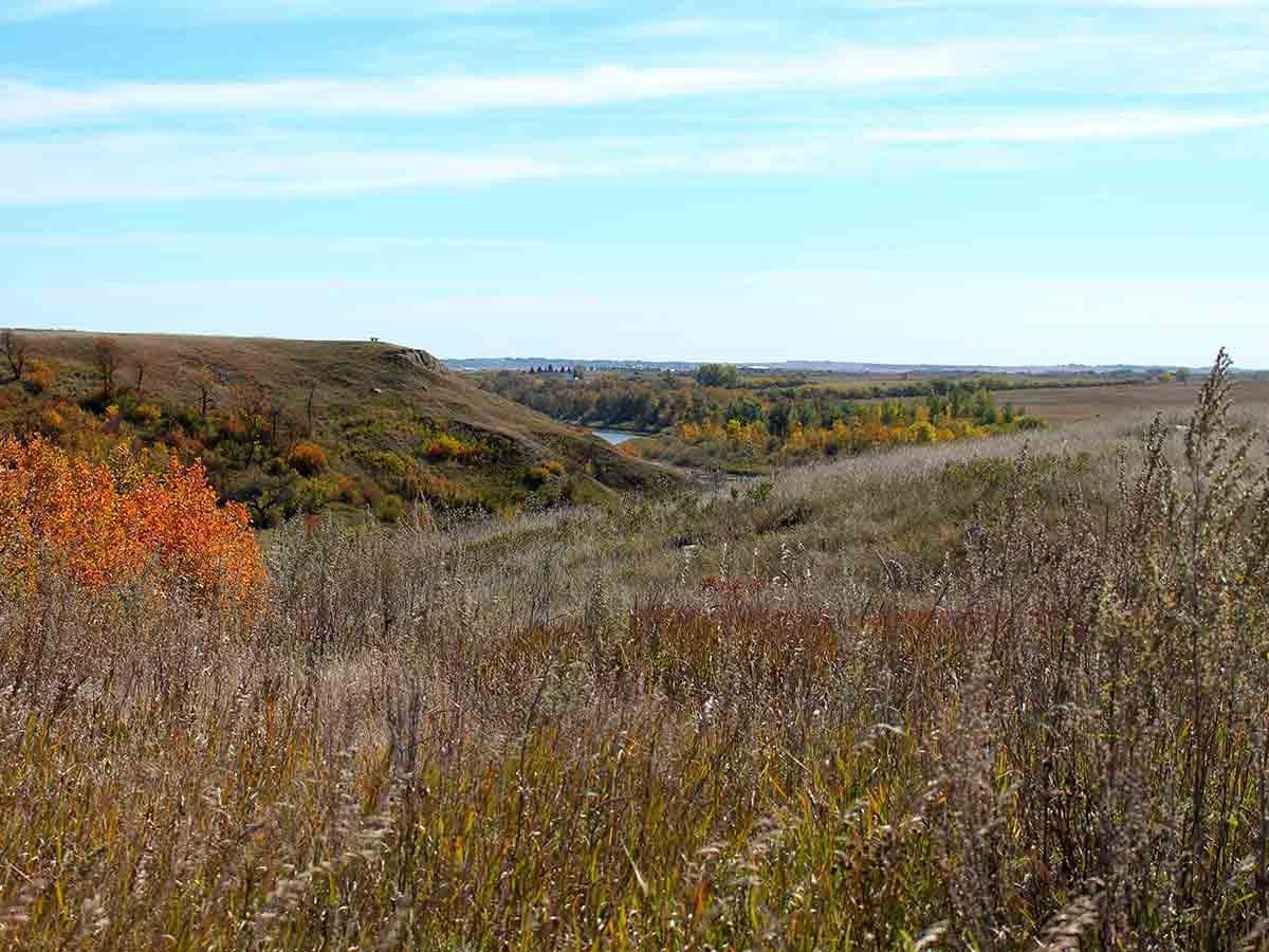 Learn about Farming - Farm & Food Care Saskatchewan