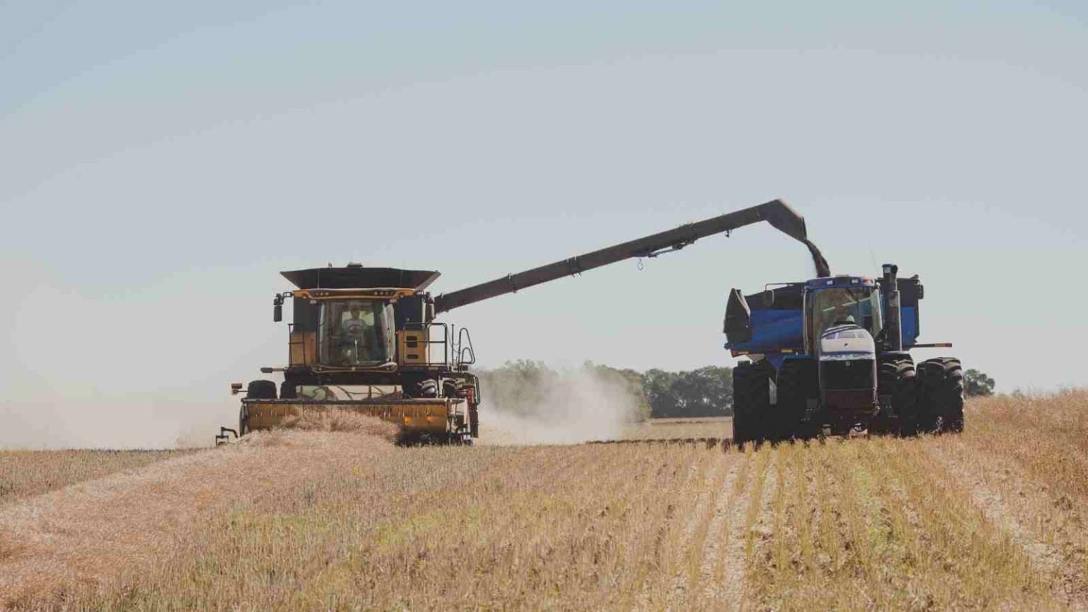 Canola From Farm to Table - Farm & Food Care Saskatchewan
