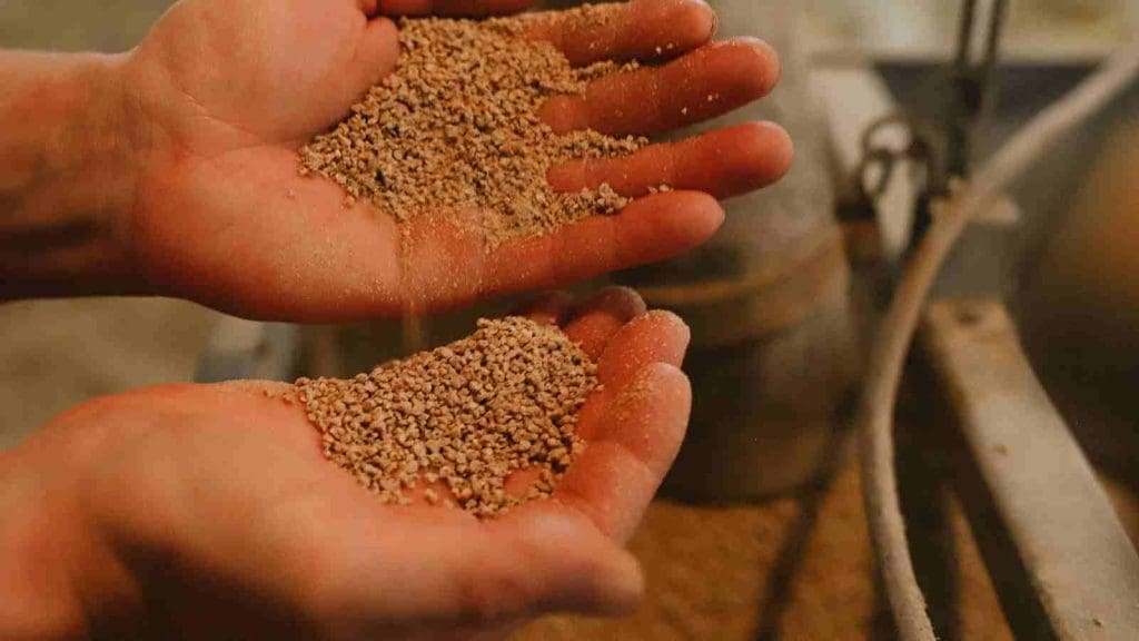 What do laying hens eat? - Farm & Food Care Saskatchewan