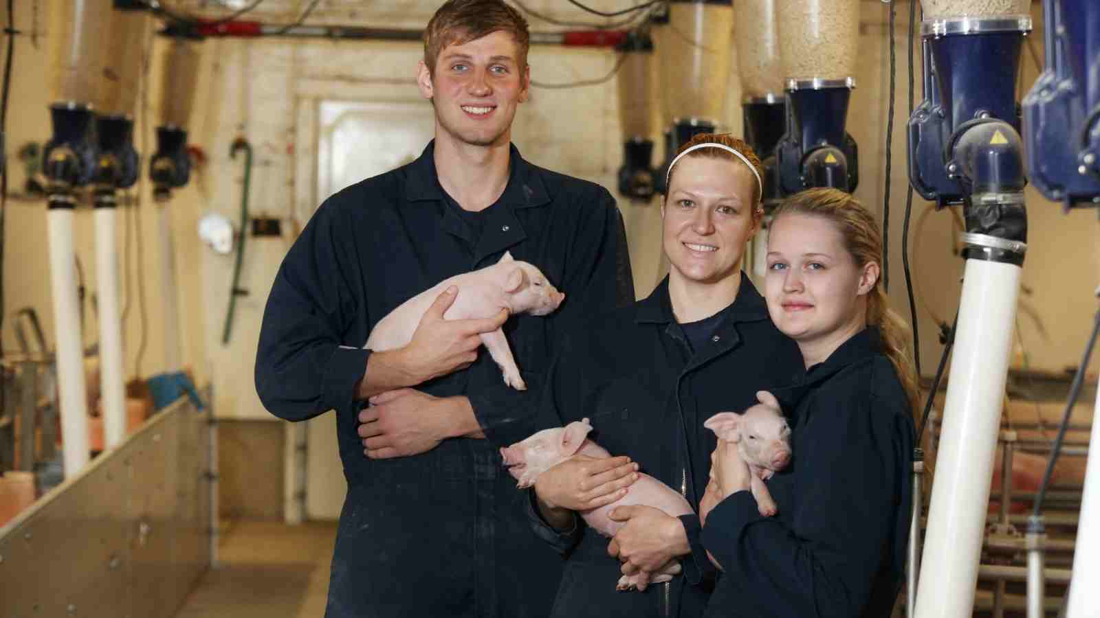 How Pigs are Cared for in Canada - Farm & Food Care Saskatchewan