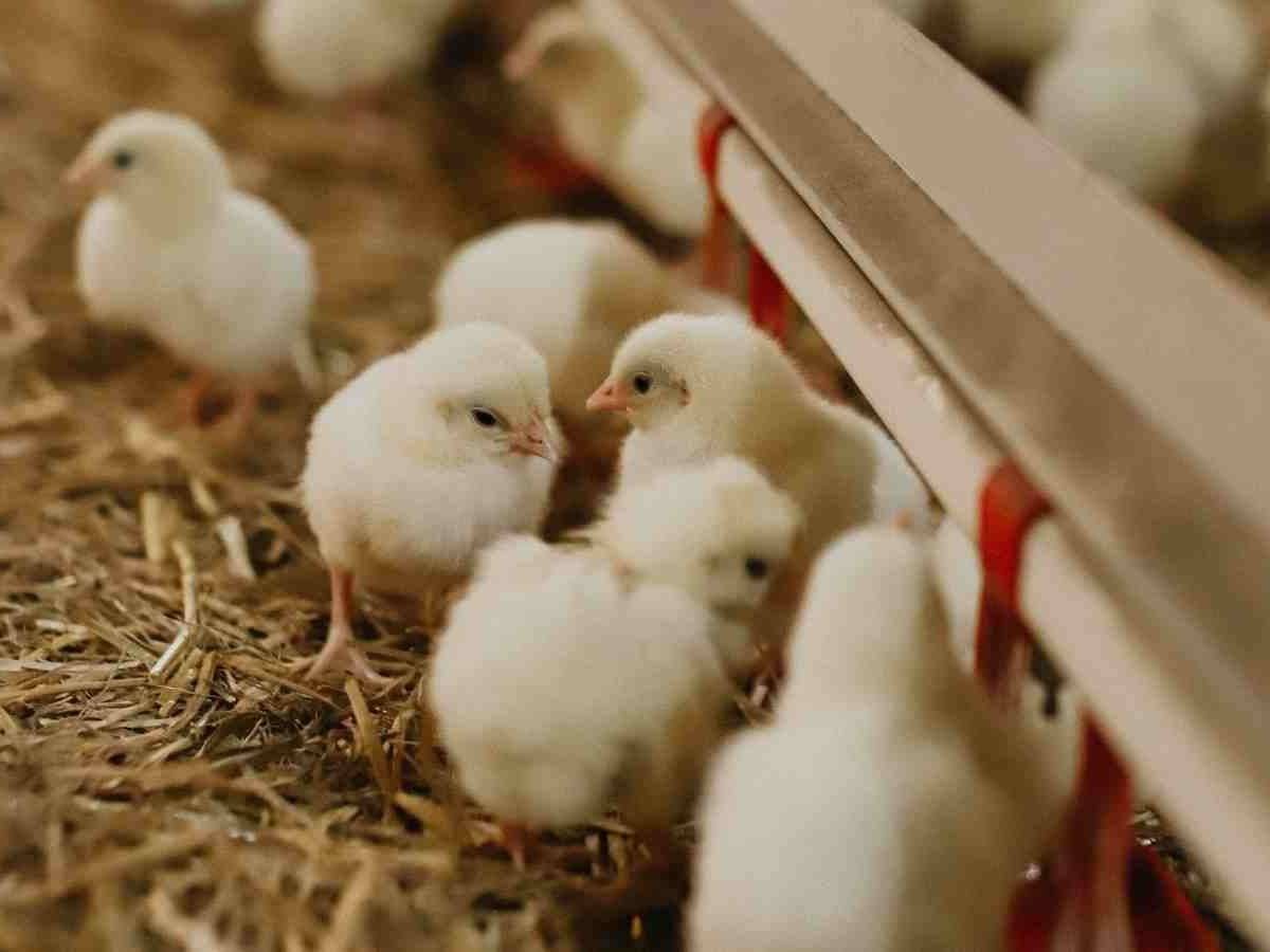 Farming 101 - Farm & Food Care Saskatchewan