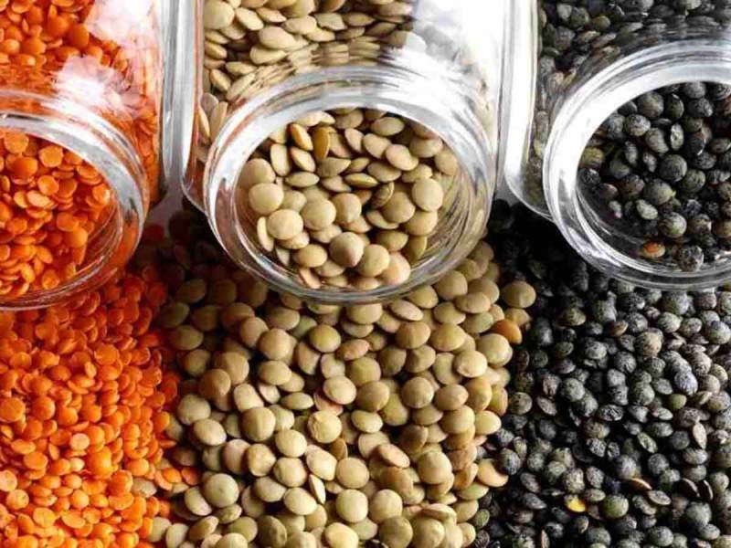 How to Store Dried Lentils - Farm & Food Care Saskatchewan